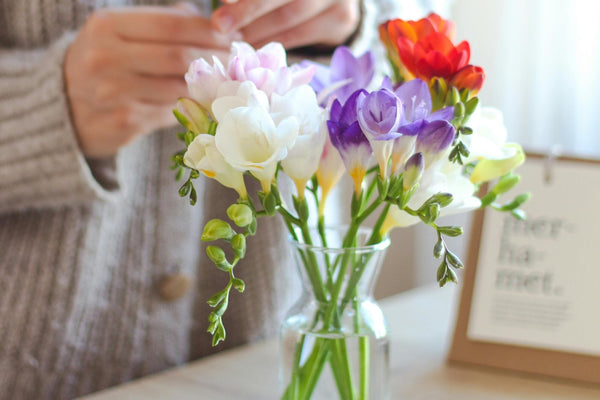 Meaning Of Freesia Flower: Unpacking Its Sweet Symbolism - Windflower ...