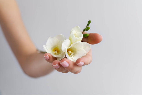 What Does Freesia Smell Like? A Florist's Guide To Their Scent ...
