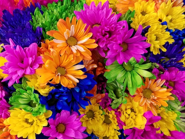 10 Flowers Colours And The Meanings/Symbolisms Behind Them - Windflower ...