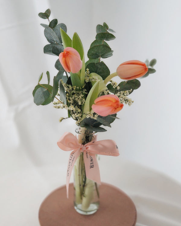 Tulip Orange - Windflower Florist