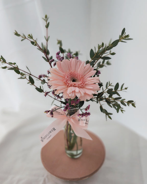 Uno Daisy In Pink - Windflower Florist